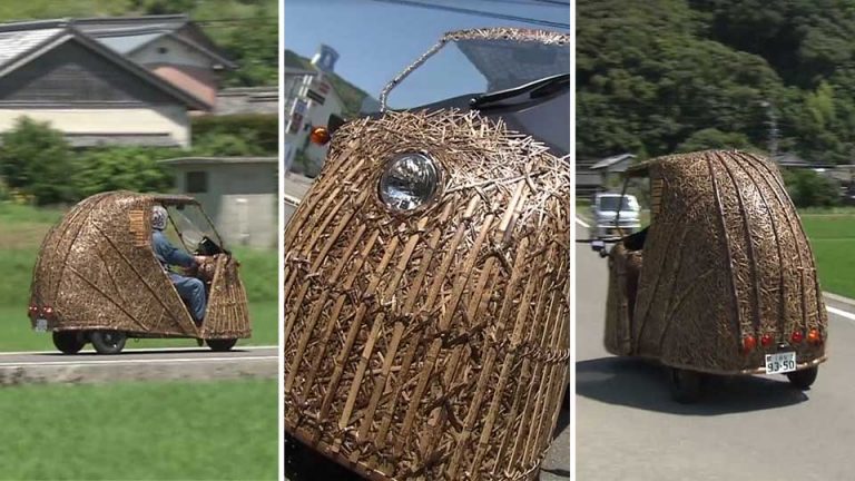 Craftsman Built Bamboo Electric Car, Plans To Take It On A 620 Miles ...
