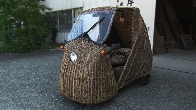 Craftsman Built Bamboo Electric Car, Plans To Take It On A 620 Miles ...