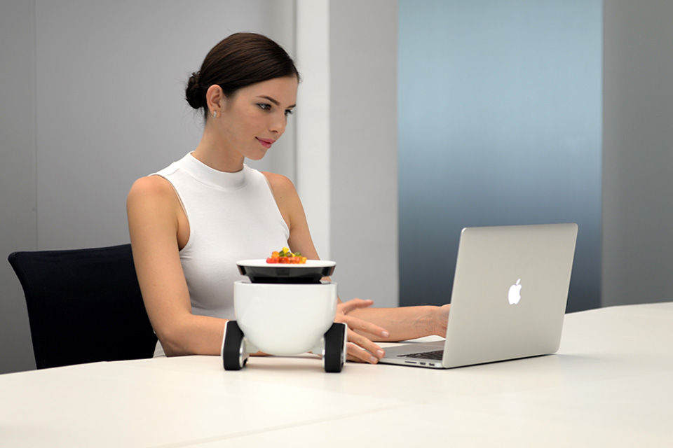 Roboming Fellow Is A Cute Robotic Companion, A Home And Pet Monitor