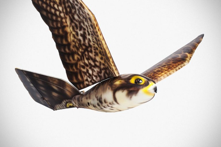 Robotic Bird Of Prey Plays Scarecrow In The Sky To Keep Birds Away