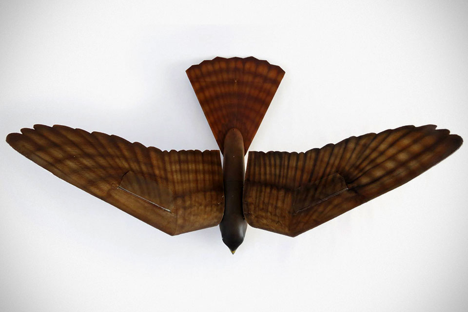 Robotic Bird Of Prey Plays Scarecrow In The Sky To Keep Birds Away