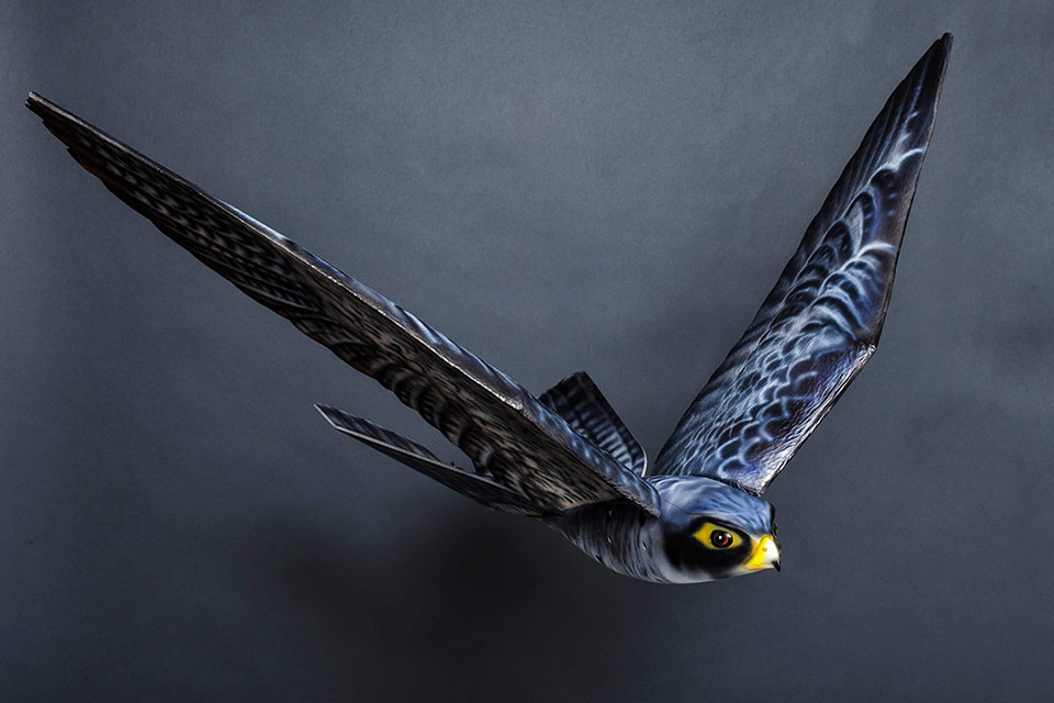 Robotic Bird Of Prey Plays Scarecrow In The Sky To Keep Birds Away
