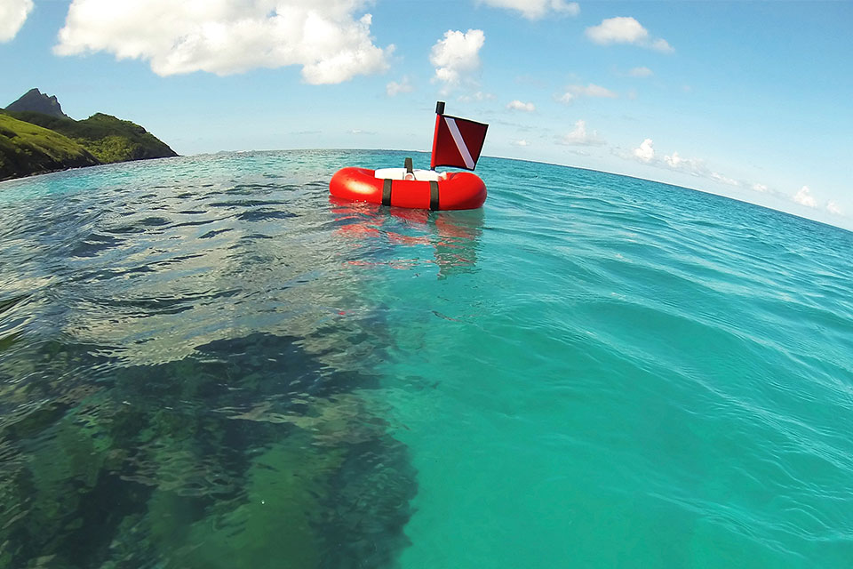 This Dive Tank Floats On The Surface So You Dive Without Being Weighed ...