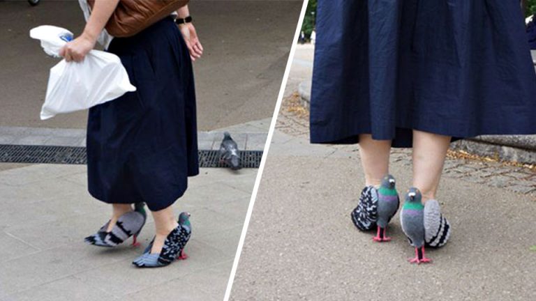 Realistic Pigeon Shoes Freak Out The Internet, But Not The Pigeons