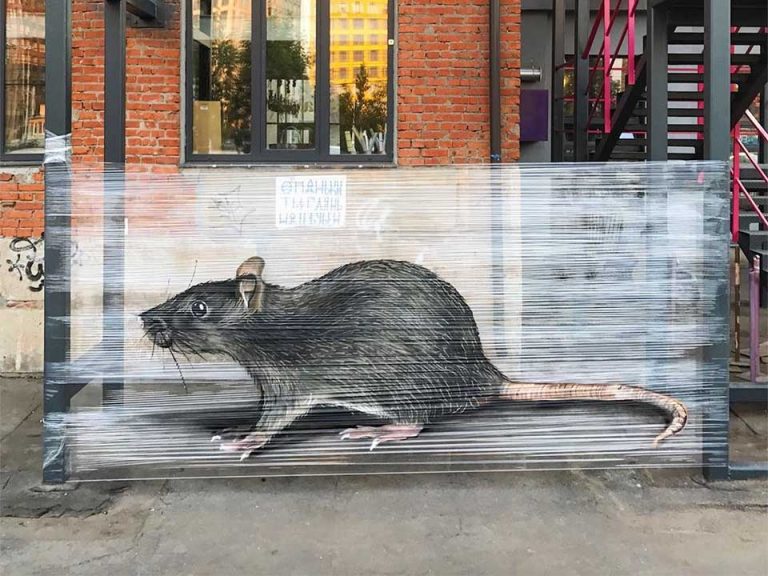 Moscow Artist Ches Takes Graffiti Into The Woods With Cellograffiti