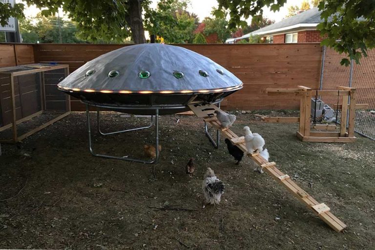 UFO Chicken Coop Puts The Question Of Chicken Or Egg To Rest Forever