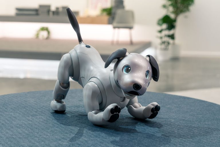 Recap: Sony New Aibo Robot Dog And Other Sony Gizmos At CES In Pictures