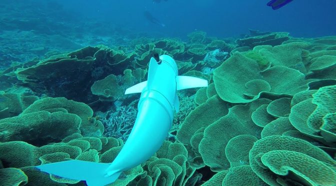 Scientists Want To Assimilate With Marine Fishes Using This Robotic ...