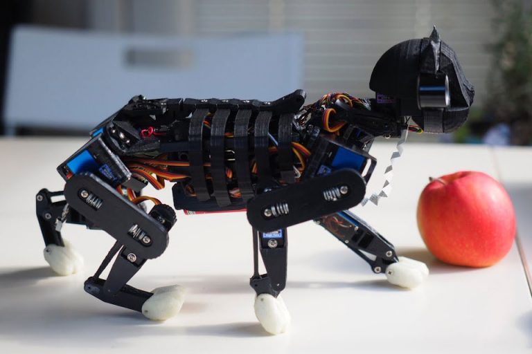 Meet Petoi, A Life-like DIY Robotic Cat Designed For STEM Education