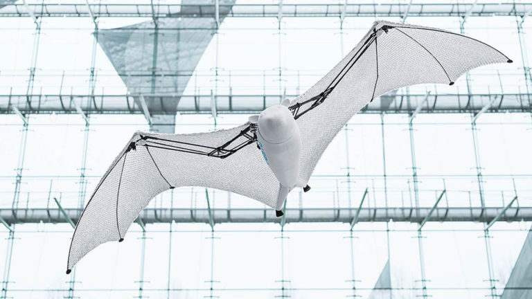 Festo BionicFlyingFox Flies And Looks Like The Real Thing