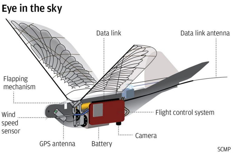 In China, Dove Surveillance Drone Is Watching From The Sky Above