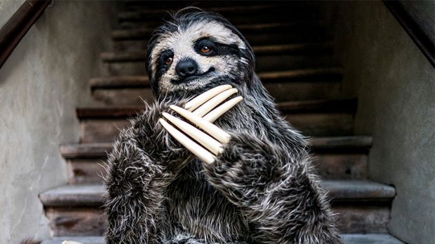 Artist Created A Sloth Costume That Is So Life-like, I Thought It Was A ...