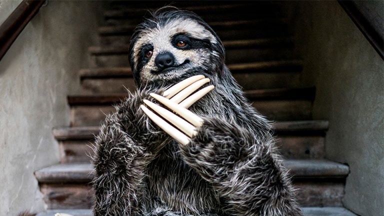 Artist Created A Sloth Costume That Is So Life-like, I Thought It Was A ...