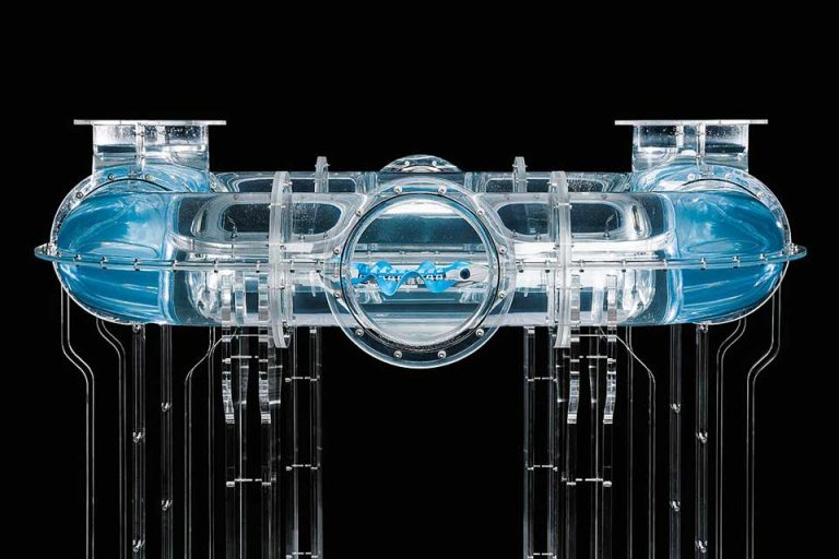 Festo Has Created A Robotic Fish That Swims Using Undulating Fins