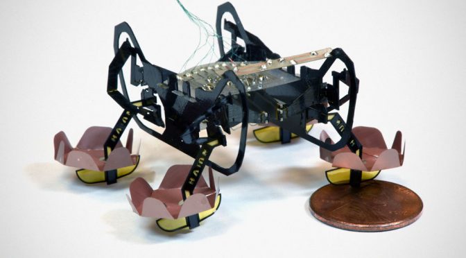 Cockroach-inspired Robot Bug Walks On Water, Land And Underwater Too ...