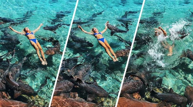 Model Poses With Sharks. Shark Bites, Dragging Her Underwater - SHOUTS