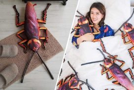 In Thailand, Realistic-looking Giant Cockroach Plush Toy Is A Thing
