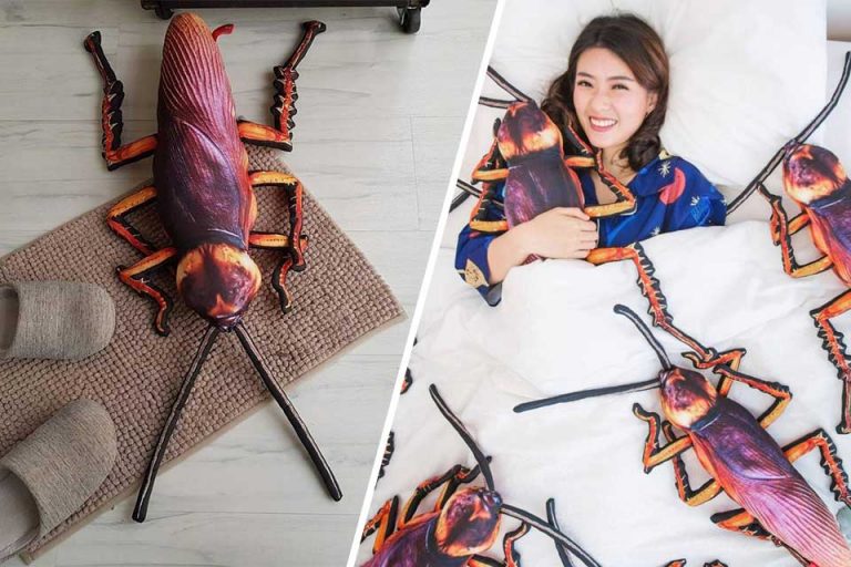 In Thailand, Realistic-looking Giant Cockroach Plush Toy Is A Thing