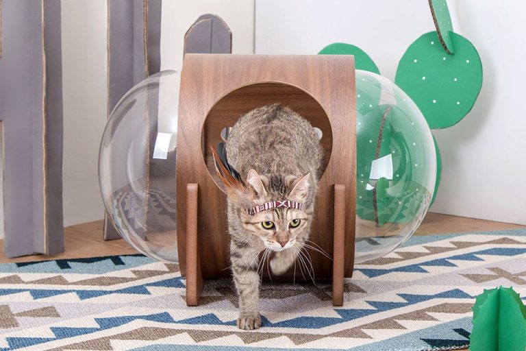 Spaceship Cat Beds Will Make Your Feline Friend Feels Like A Space Cat