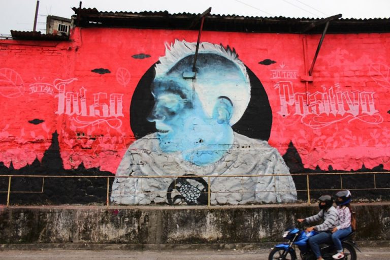 Colors Of These Amazing Wall Murals Will Only Be Revealed When Inverted