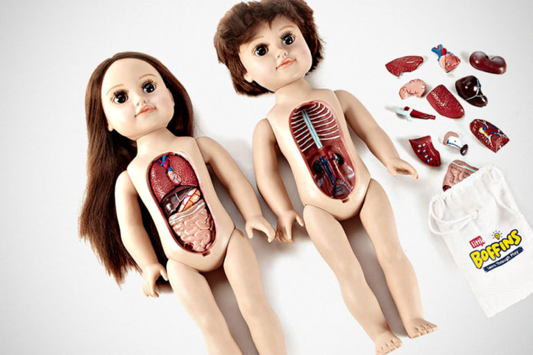 Dolls With Guts Spilling Out Educational Or Simply Grotesque