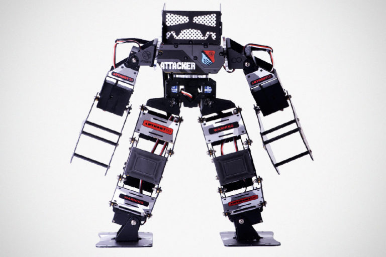 Ladies And Gentlemen, This Is The Future Of Toys: Fighting Biped Robots
