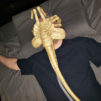 Alien Facehugger CPAP Ventilator Mask Won’t Lay Eggs, It Delivers Air