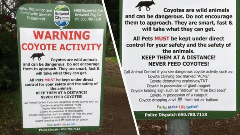 The Fine Print On This Coyote Warning Sign Will Crack You Up!