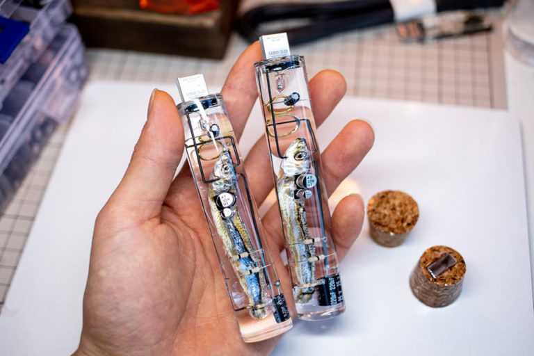 Japanese Student Created A USB Flash Drive With A Real Fish As Its PCB