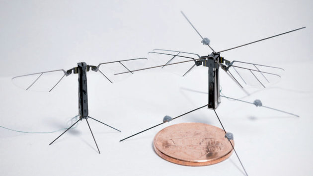 USC-developed 4-Winged Robotic Insect Flies With Innovative Actuators
