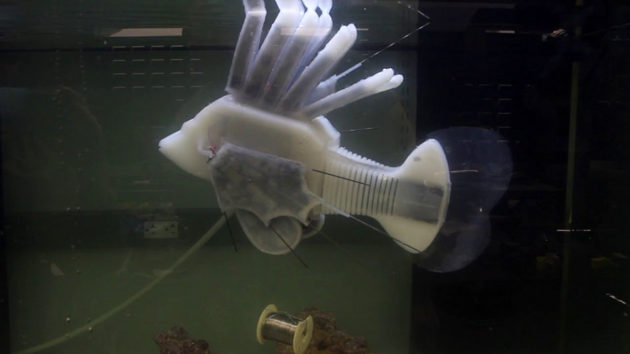 Scientists Developed Robotic Fish That Is Powered By Synthetic Blood