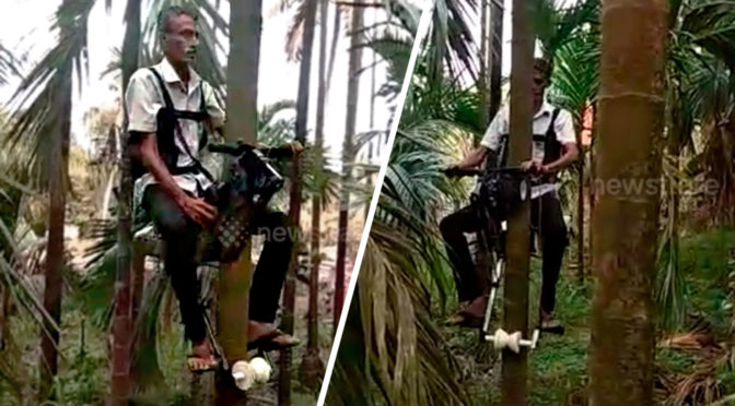 India Farmer Created A ‘Tree Bike’ That Scales 100-ft Tree With Ease ...