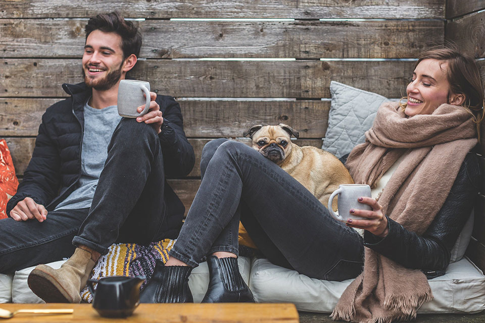Moving With Pets Tips For Finding A Pet friendly Apartment SHOUTS