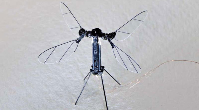 Scientists Developed Insect-sized Robot Powered By Solar - SHOUTS