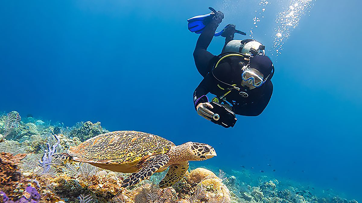 Diveroid Is An Awesome Accessory That Will Turn Your Smartphone Into A ...