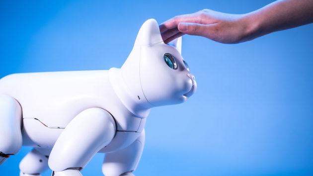 MarsCat Robotic Cat Is An Alternative To Sony Aibo For Cat Person