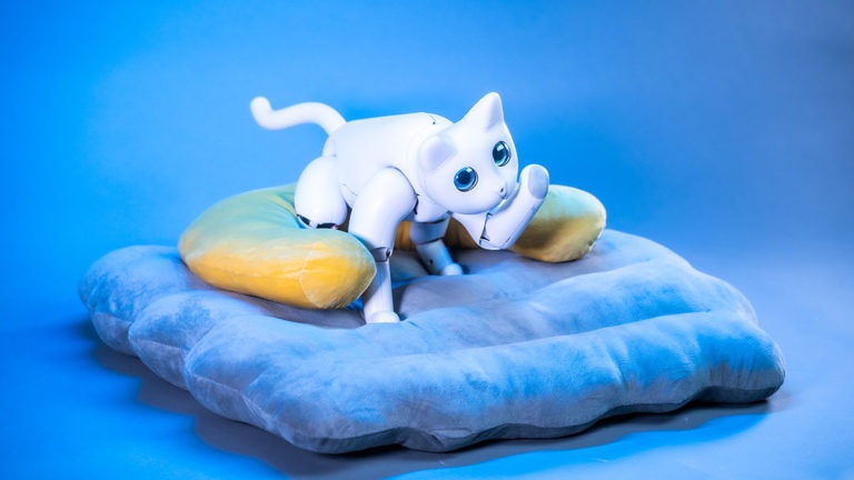 MarsCat Robotic Cat Is An Alternative To Sony Aibo For Cat Person