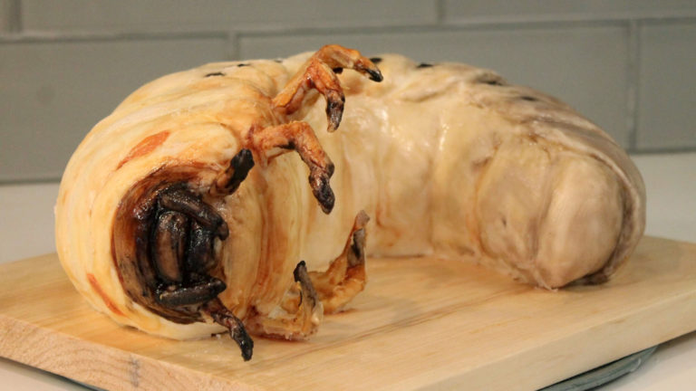Creative Cake Maker Made A Realistic Hercules Beetle Grub Cake…Ermm ...
