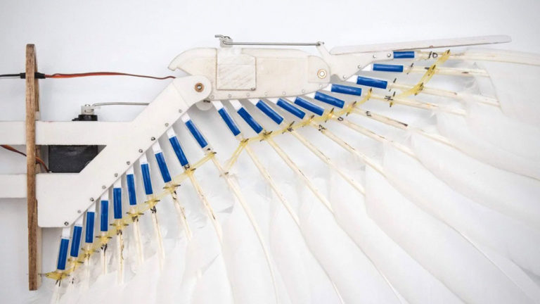 This Pigeon Robot That Has Wings Structure Of A Real Pigeon And With ...