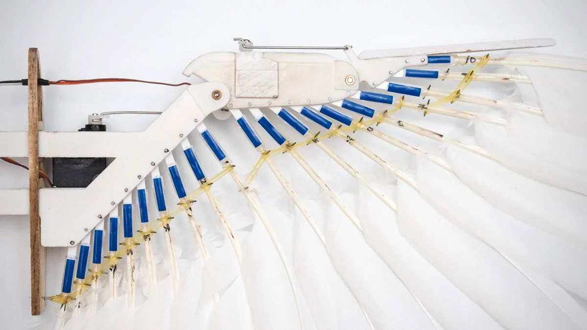 This Pigeon Robot That Has Wings Structure Of A Real Pigeon And With ...