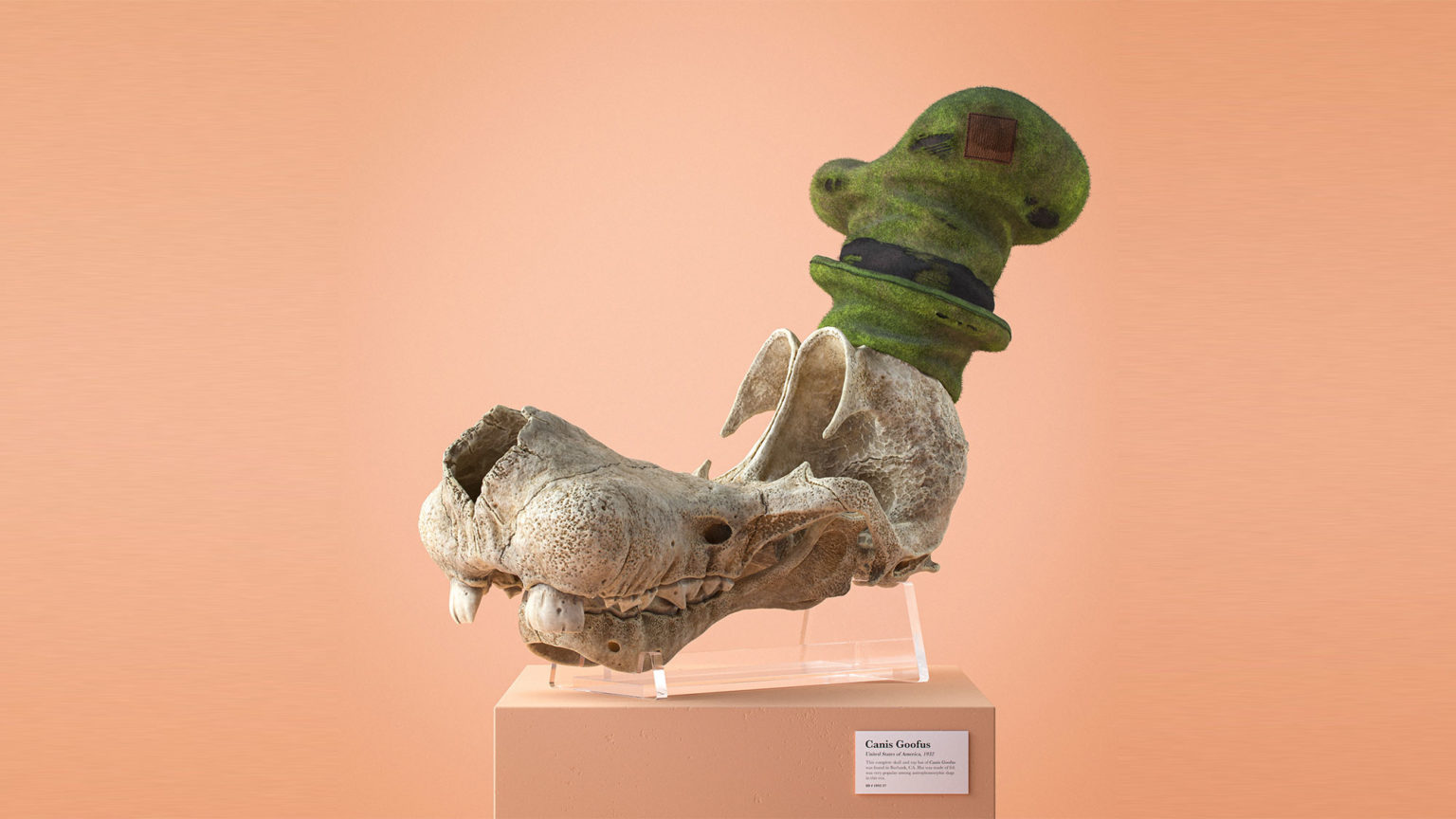 Cartoon Fossils Answer The Question Of What If Cartoon Characters Died ...