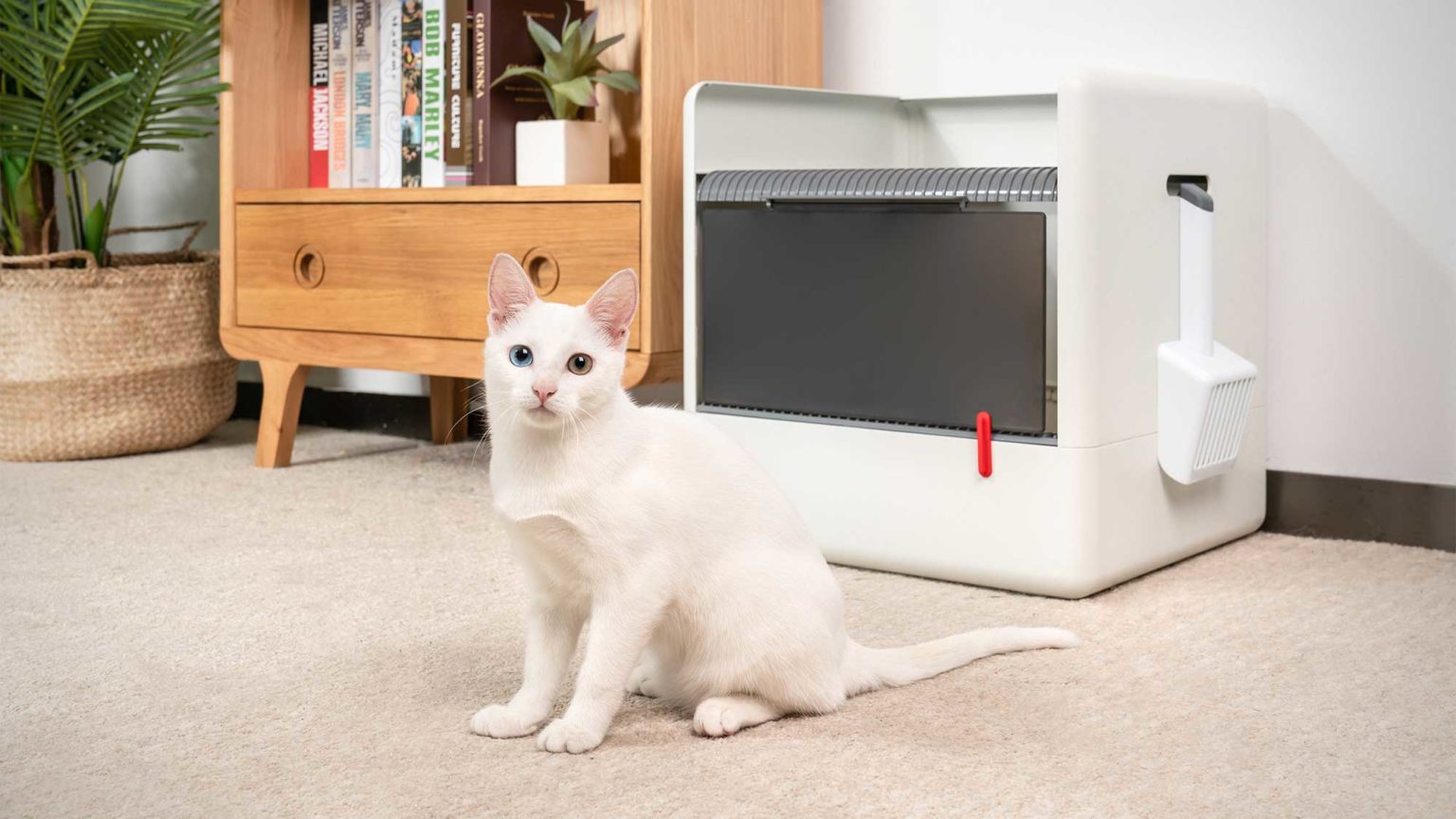 Poop Cube Cat Litter Box Because, Cat Litter Should Keep Odor In And ...