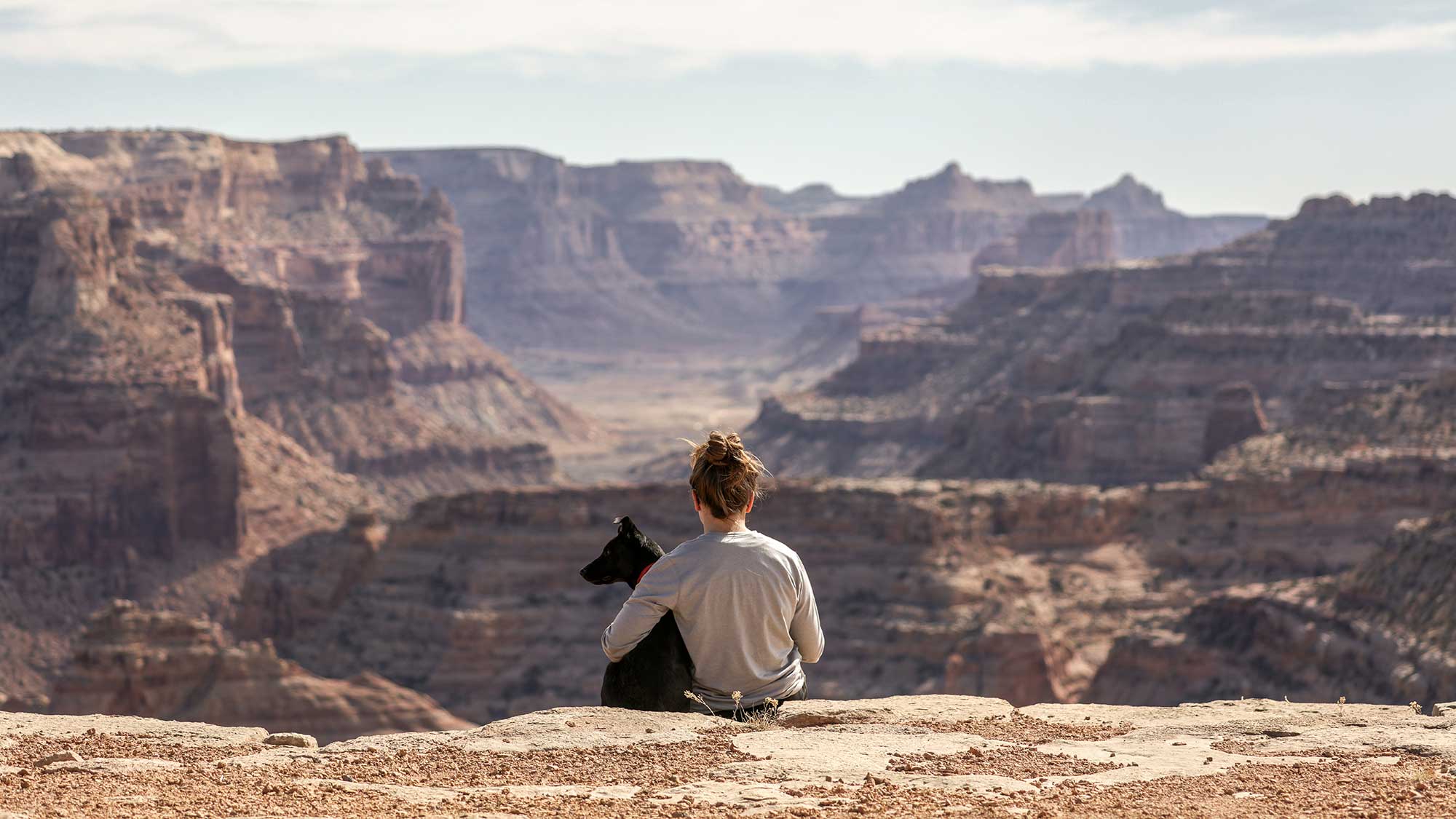 A Guide To Traveling Across The World With Your Animal