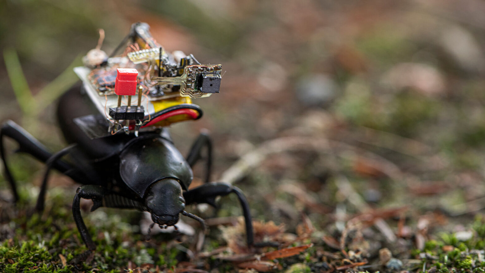 Researchers At University Of Washington Developed An “Action Cam” For ...