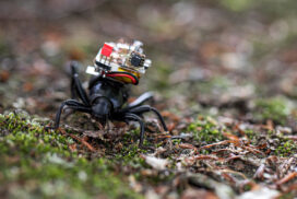 Researchers At University Of Washington Developed An “Action Cam” For ...