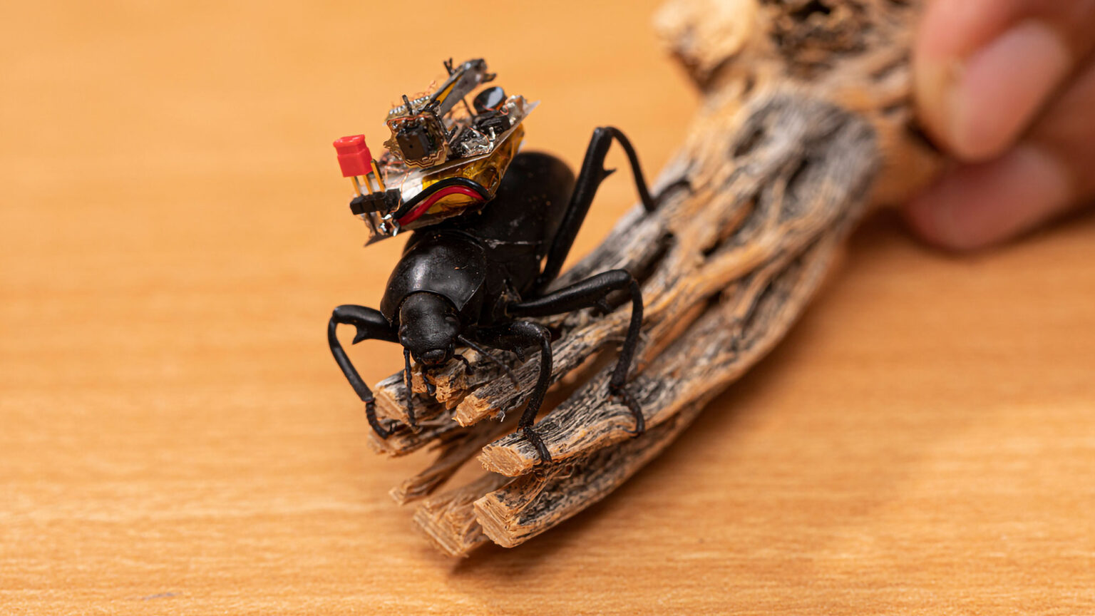 Researchers At University Of Washington Developed An “Action Cam” For ...