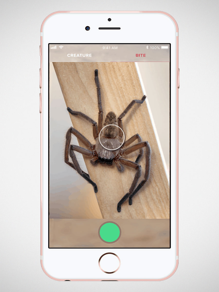 Critterpedia Mobile App: Identifying A Snake Or Spider Is Just A Photo ...