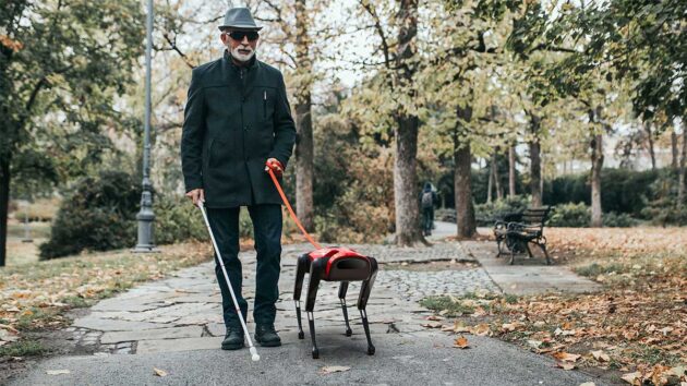 AlphaDog Is A Robotic Dog That Costs 12 Times Less Than Boston Dynamics ...