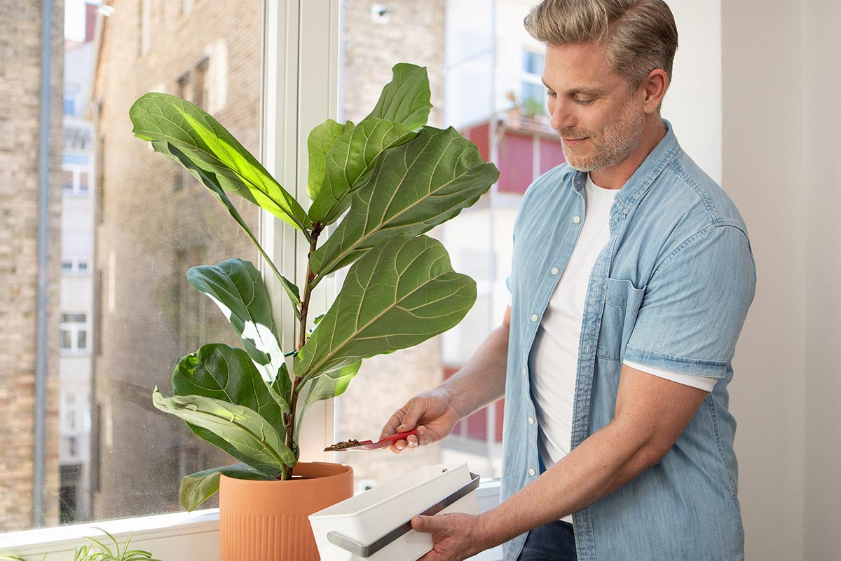 KALEA Is A Made For Kitchen Composter That Will Compost Food Waste In ...