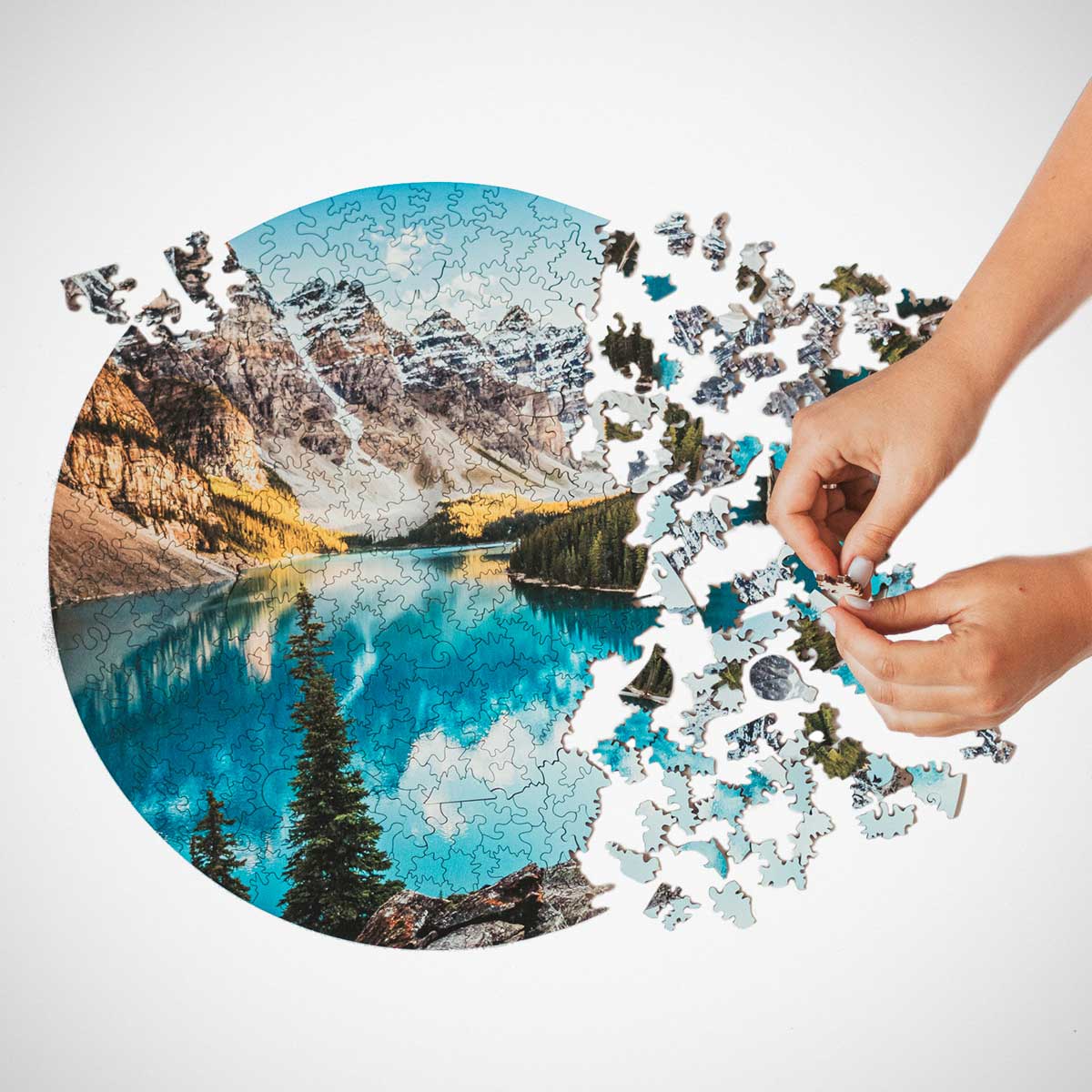 No Ordinary Wooden Jigsaw Puzzle Has The Most Irregular Puzzle Pieces ...